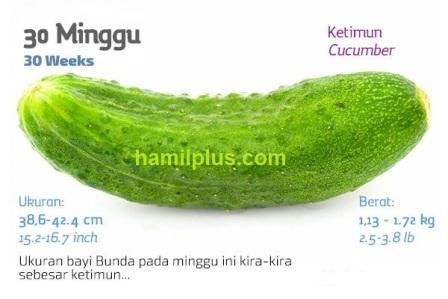 Hamil 30 Minggu, Info Perkembangan Janin & Tips untuk Ibu Hamil